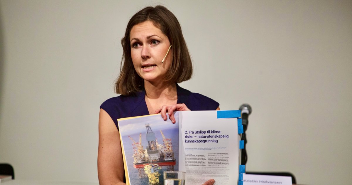 NIM mener domstolskontrollen bør være sterk i klimasaken - Rett24